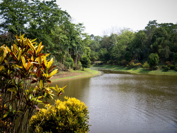 मानसिक शांति प्रदान करता है असम का दीफू | Assam Tourism: All about hill ...