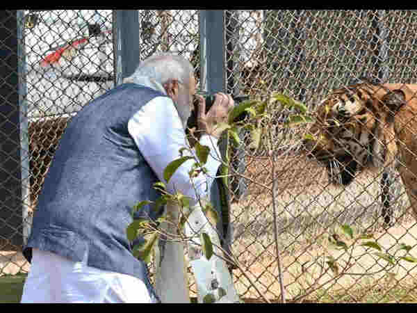 घूमना चाहते है जंगल..तो जरुर जायें..नंदनवन जंगल | NANDAN VAN ZOO and ...
