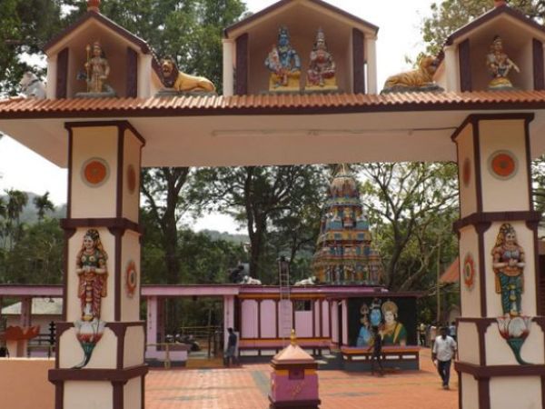 केरल में हैं तो, अट्टापड्डी जाना न भूलें | Attapadi, Kerala; Know ...