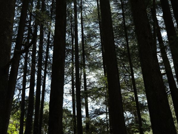 Charekh Hill Station; Know- Timings, Attractions and How to Reach ...