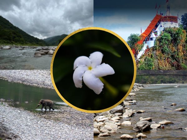 'मर्चुला'! उत्तराखंड की वादियों में बसा एक प्राकृतिक खजाना, नैनीताल से ...