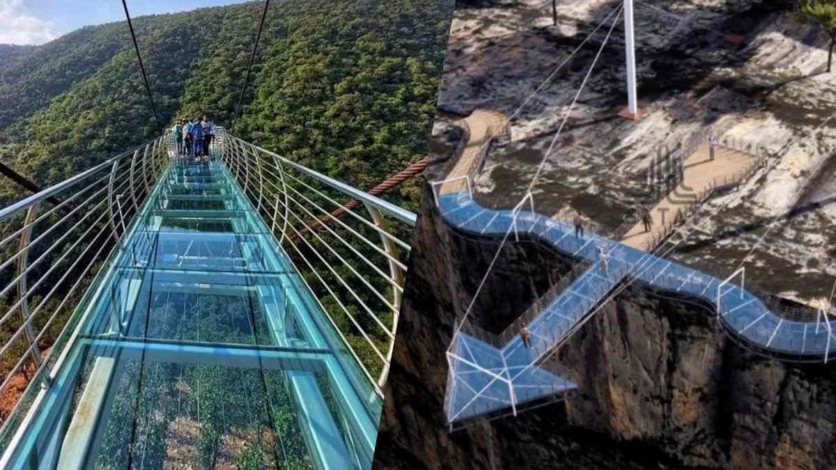 कब से खुलेगा उत्तर प्रदेश का पहला Glass Bridge, क्या है इसकी खासियतें ...